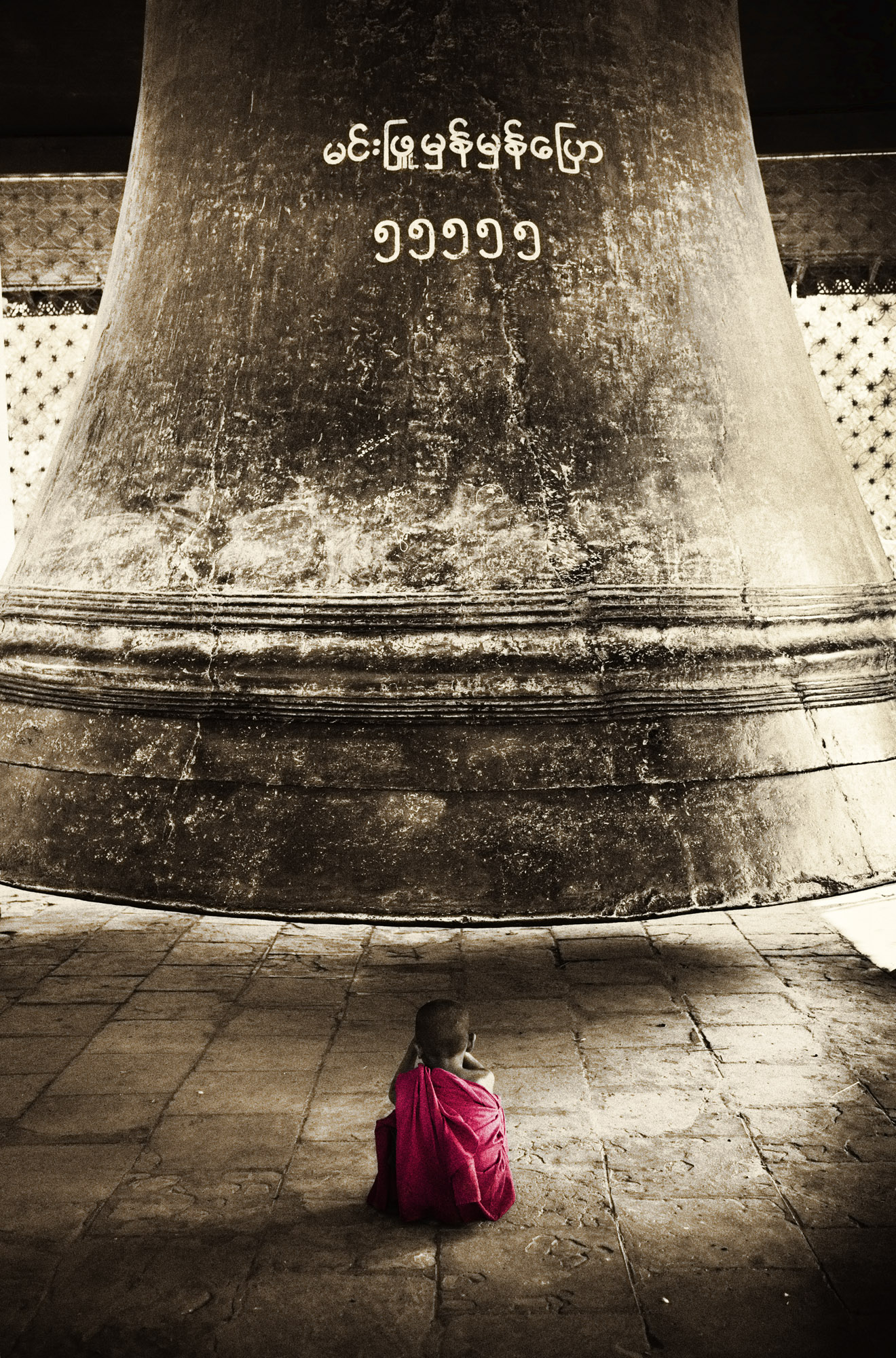 Professional competition | World Photography Organisation