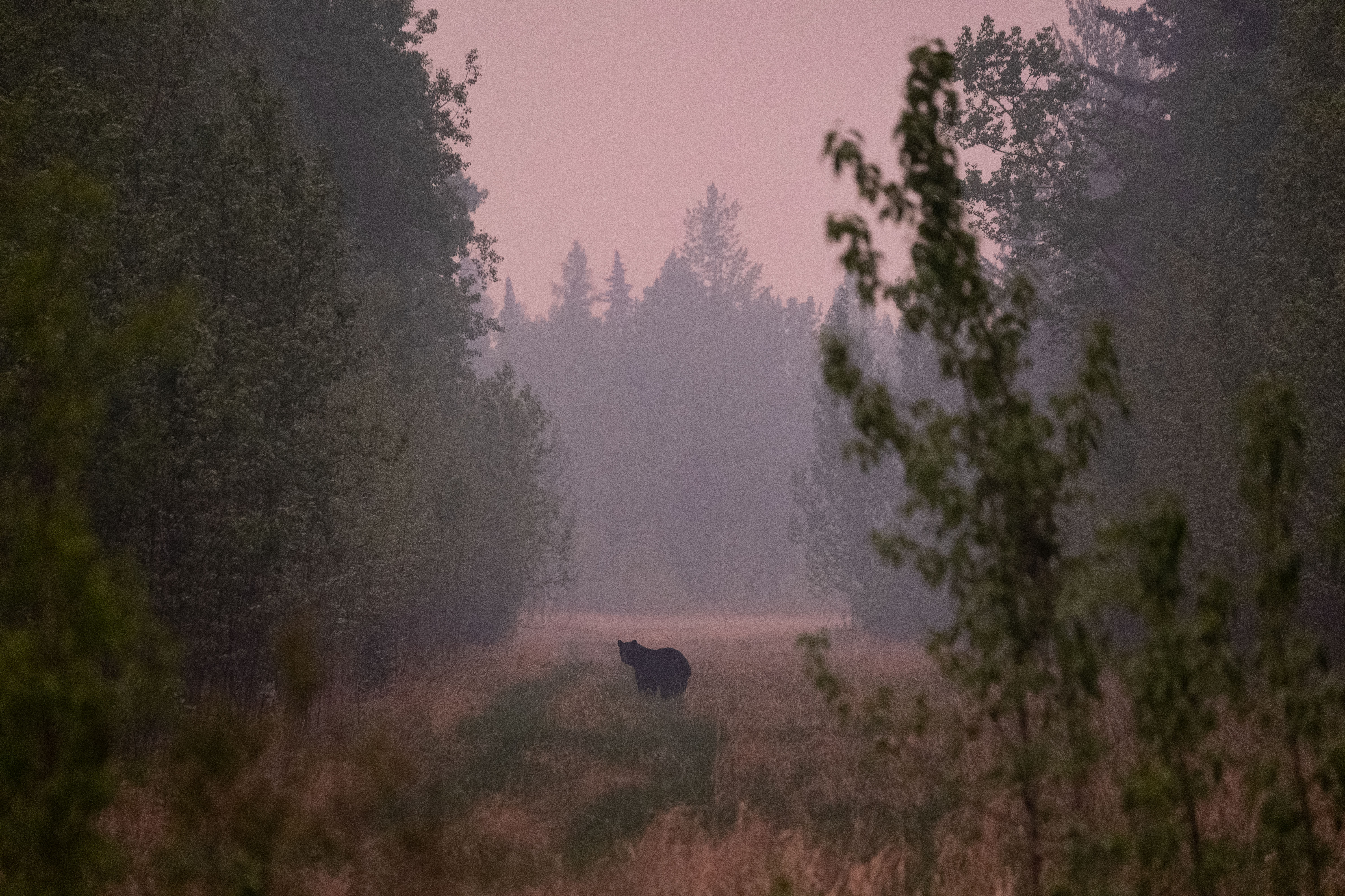 Redux Pictures x Sony World Photography Awards: Tommaso Ausili and Jen ...