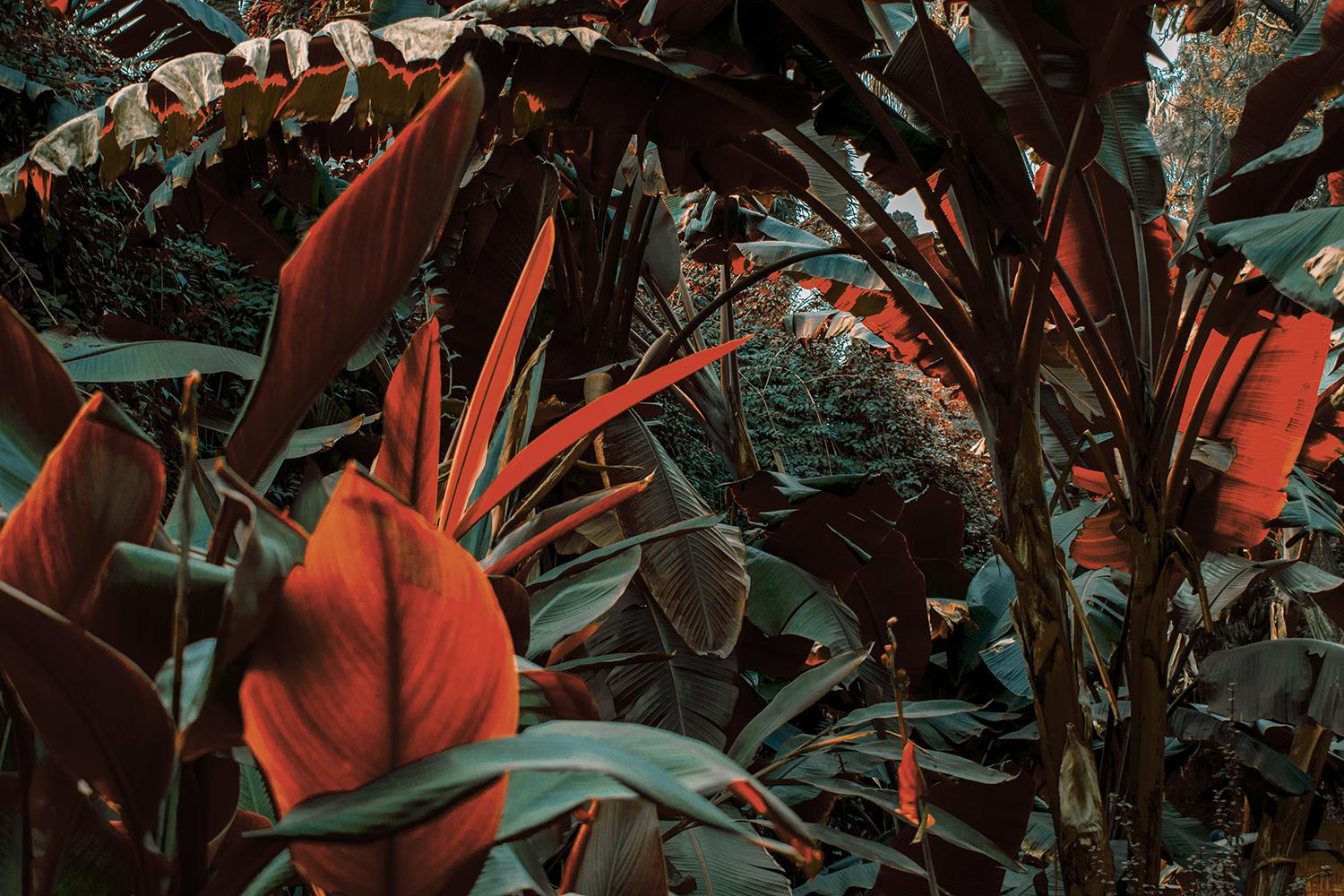 This week's focus: Al Mefer | World Photography Organisation