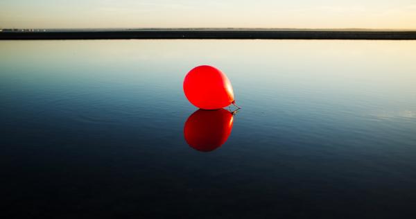 Object | World Photography Organisation