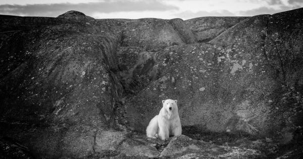 The Power of Presence | World Photography Organisation